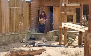 Tilgate Zoo, Crawley: Information, Tickets and Reviews