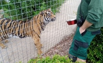 Shepreth Wildlife Park, Royston: Information, Tickets and Reviews