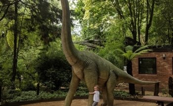 Linton Zoo Conservation Park, Cambridgeshire's Wildlife Breeding Centre ...