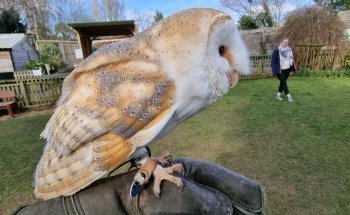 Rodbaston Animal Zone, Stafford: Information, Tickets and Reviews