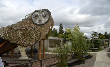Scottish Owl Centre, Bathgate: Information, Tickets and Reviews