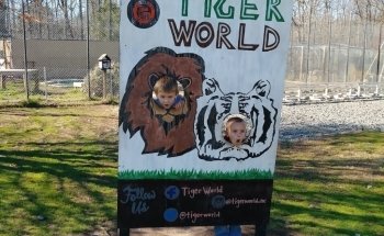 Tiger World, Rockwell, NC: Information, Tickets and Reviews