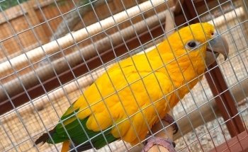 Maldon Promenade Zoo: Information, Tickets and Reviews
