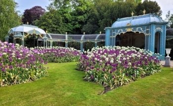 Woodside Animal Farm, Luton: Information, Tickets and Reviews