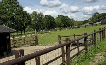 Hertfordshire Zoo, Broxbourne: Information, Tickets and Reviews