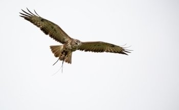 Hamerton Zoo Park, Huntingdon: Information, Tickets and Reviews