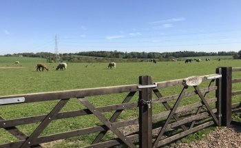 Woodside Animal Farm, Luton: Information, Tickets and Reviews