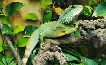 Get to know animals CIC, Epping: Information, Tickets and Reviews