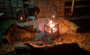 Hamerton Zoo Park, Huntingdon: Information, Tickets and Reviews