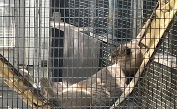 Micke Grove Zoo, Lodi, CA: Information, Tickets and Reviews