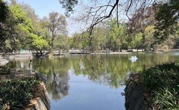Chapultepec Zoo, Ciudad de México: Information, Tickets and Reviews