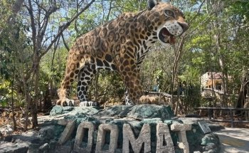 124 Zoos in Mexico you must visit