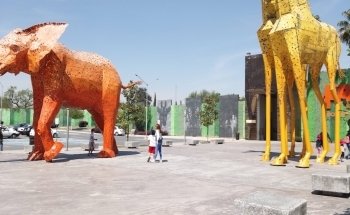 Parque Zoológico La Pastora, Guadalupe: Información, Entradas y Opiniones