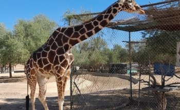 124 Zoos in Mexico you must visit