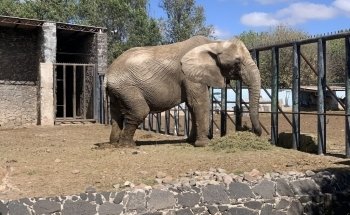 Zoo Queretaro Wameru, Querétaro: Información, Entradas y Opiniones