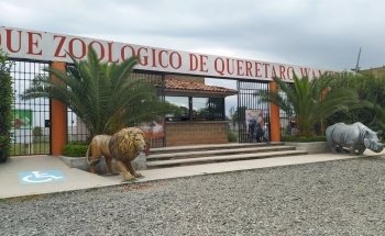 Zoo Queretaro Wameru, Querétaro: Información, Entradas y Opiniones