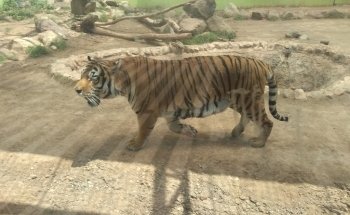 124 Zoos in Mexico you must visit