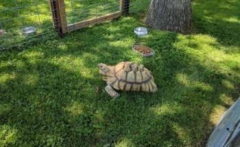 Phillips Park Zoo, Aurora, IL: Information, Tickets and Reviews
