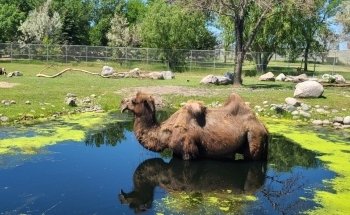 Red River Zoo, Fargo, ND: Information, Tickets and Reviews