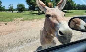 Arbuckle Wilderness, Davis, SD: Information, Tickets and Reviews