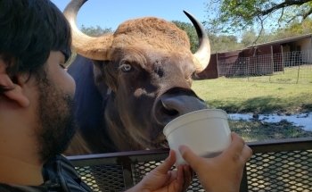 Bayou Wildlife Zoo, Alvin, TX: Information, Tickets and Reviews