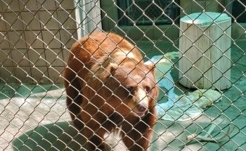 Merced's Applegate Park Zoo: Information, Tickets and Reviews