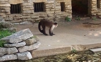 Riverside Park and Ralph Mitchell Zoo, Independence, KS: Information ...