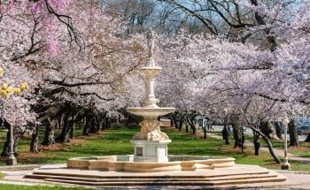 Plumpton Park Zoo, Rising Sun, MD: Information, Tickets and Reviews