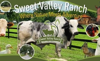Aloha Safari Park, Cameron, NC: Information, Tickets and Reviews