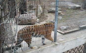 Bramble Park Zoo, Watertown, SD: Information, Tickets and Reviews