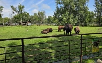 Bramble Park Zoo, Watertown, SD: Information, Tickets and Reviews