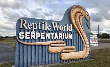 Amazing Animals Inc, Saint Cloud, FL: Information, Tickets and Reviews