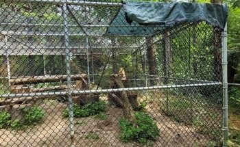 Charmingfare Farm, Manchester, NH: Information, Tickets and Reviews