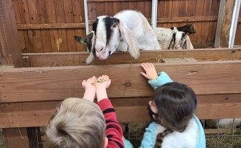 Charmingfare Farm, Manchester, NH: Information, Tickets and Reviews