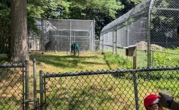 Charmingfare Farm, Manchester, NH: Information, Tickets and Reviews
