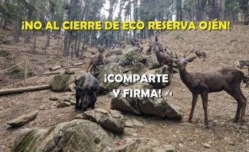 139 Zoológicos en España que debes visitar