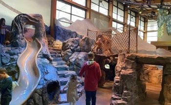 Point Defiance Zoo & Aquarium, Tacoma, WA: Information, Tickets and Reviews