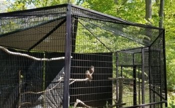 Essex County Turtle Back Zoo, West Orange, NJ: Information, Tickets and ...