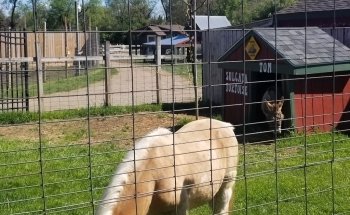 Carousel Acres, Inc., South Lyon, MI: Information, Tickets and Reviews