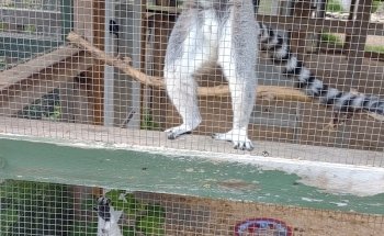 Carousel Acres, Inc., South Lyon, MI: Information, Tickets and Reviews