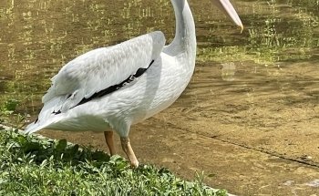 Sunset Zoo, Manhattan, KS: Information, Tickets and Reviews