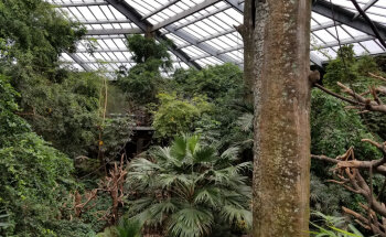 Lied Jungle, Omaha, NE: Information, Tickets and Reviews