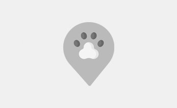 The Fenn Bell Conservation Project, Rochester: Information, Tickets and ...