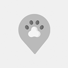 Charmingfare Farm, Manchester, NH: Information, Tickets and Reviews
