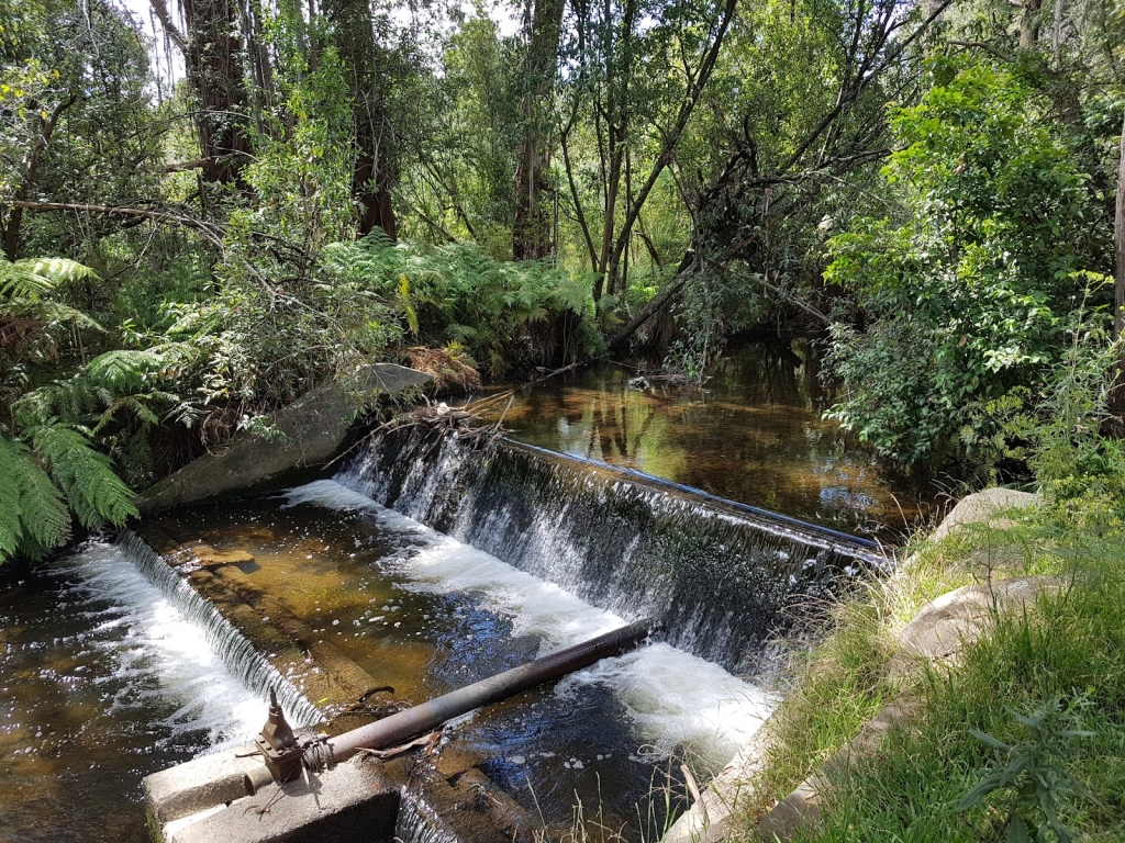 Healesville Sanctuary (Zoos Victoria), Melbourne: Information, Tickets ...