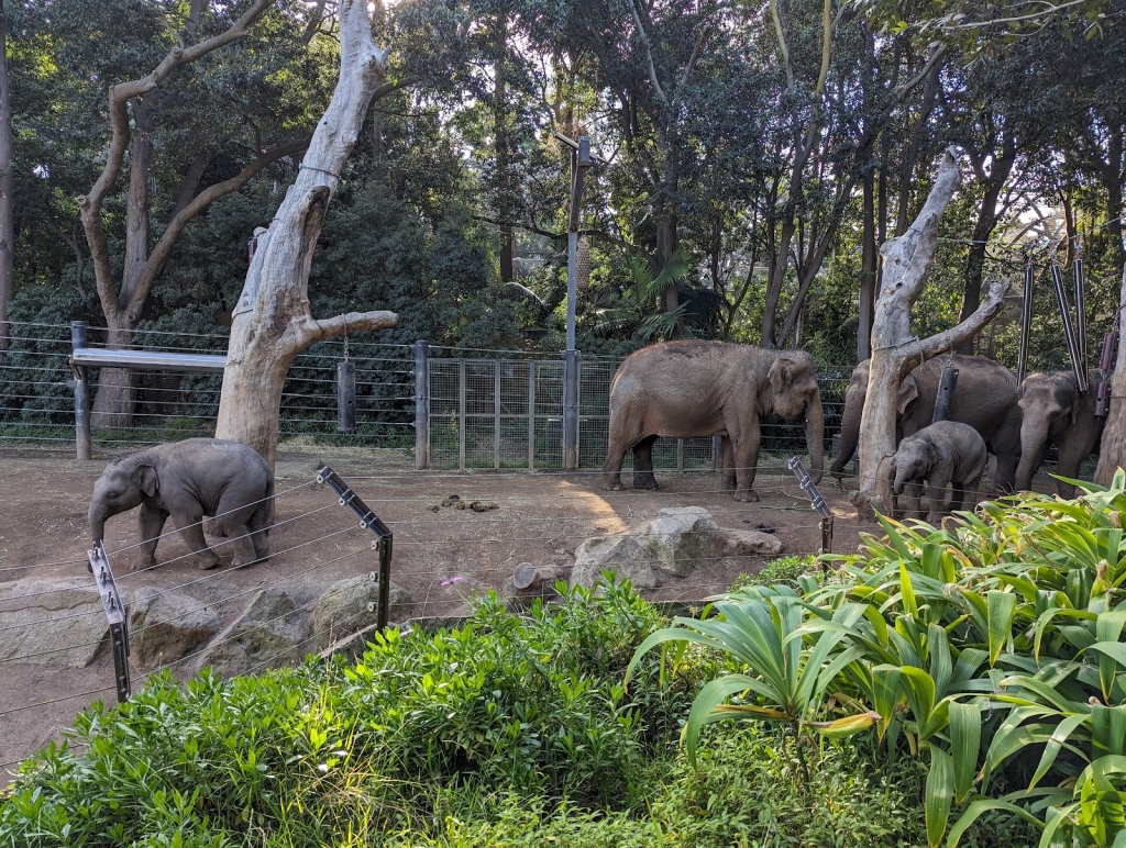 Zoos Victoria Head Office, Melbourne: Information, Tickets and Reviews