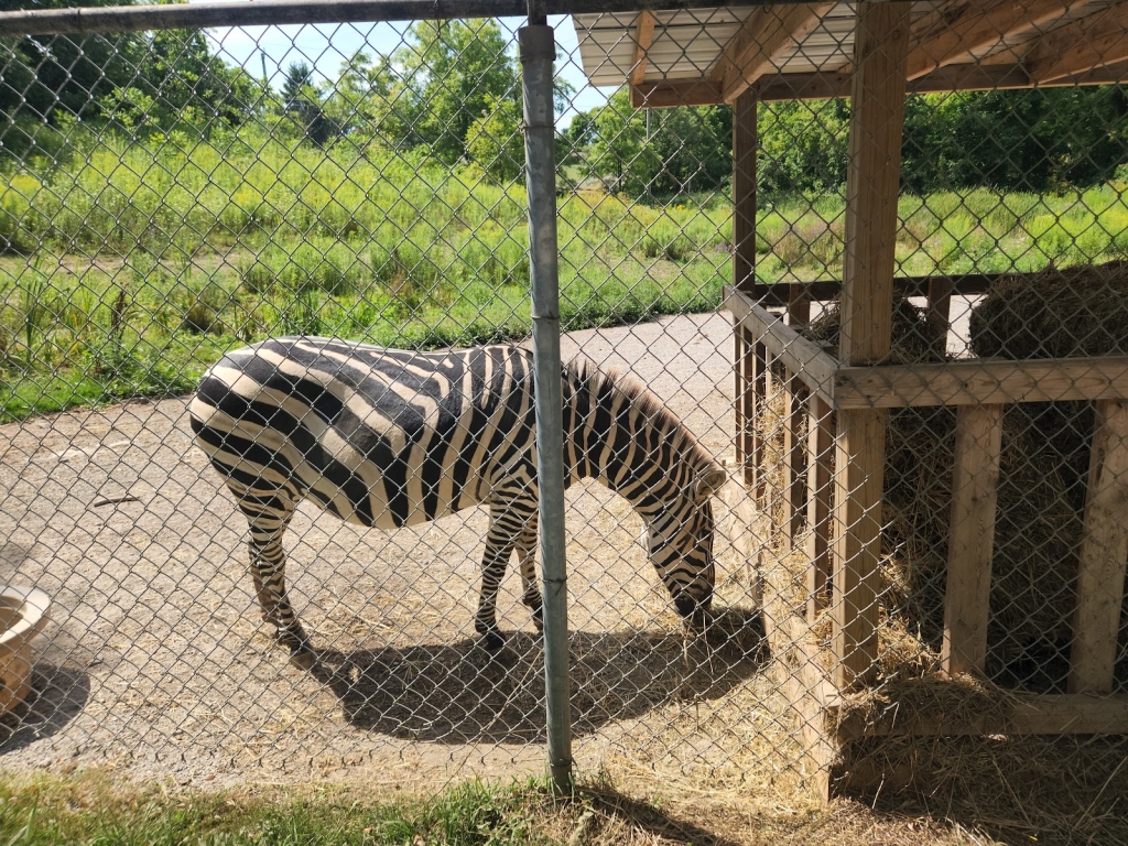 Brantford Twin Valley Zoo Ltd.: Information, Tickets and Reviews