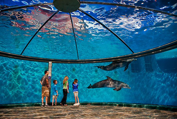 Indianapolis Zoo: Information, Tickets and Reviews