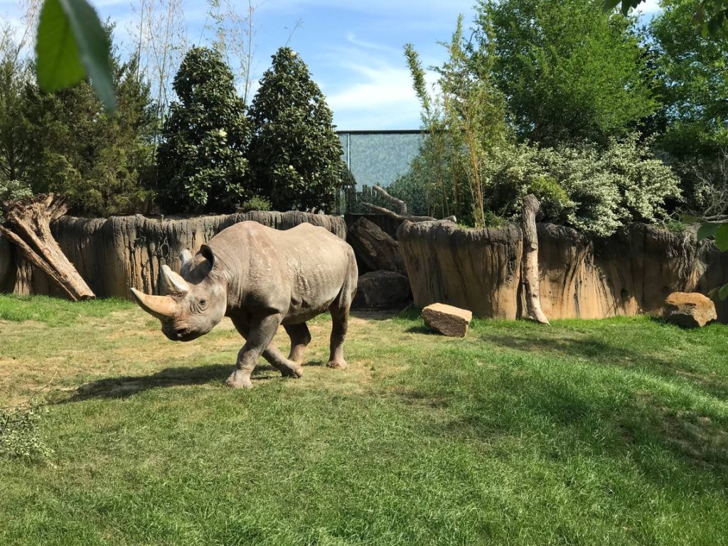 Fort Worth Zoo: Information, Tickets and Reviews