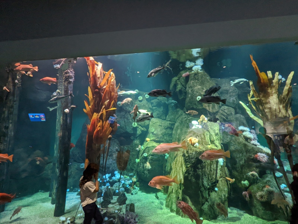 Point Defiance Zoo & Aquarium, Tacoma, WA: Information, Tickets and Reviews